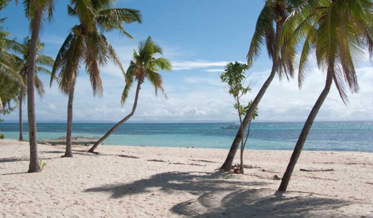 Top 8 Must-Experience Hikes in Visayas for Adventure Seekers