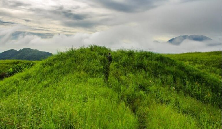 10 Must-Try Hikes in Laguna