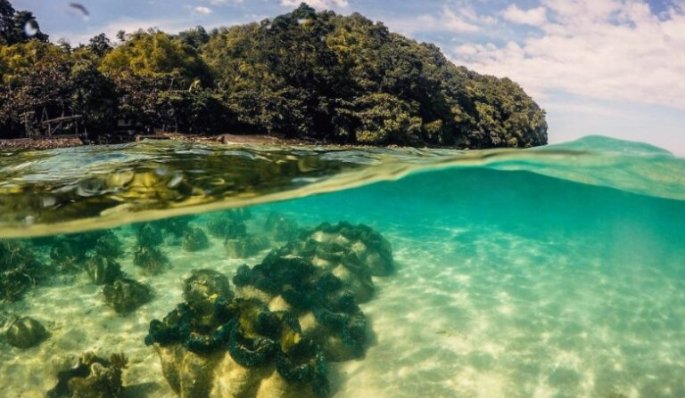 20 Best Camiguin Island Tourist Spots You Can't Miss