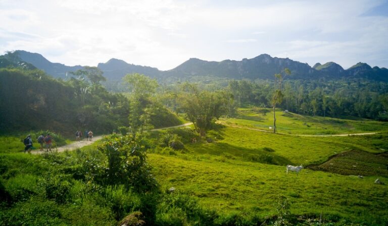 Osmeña Peak: The Ultimate Guide to Cebu’s Most Scenic Summit